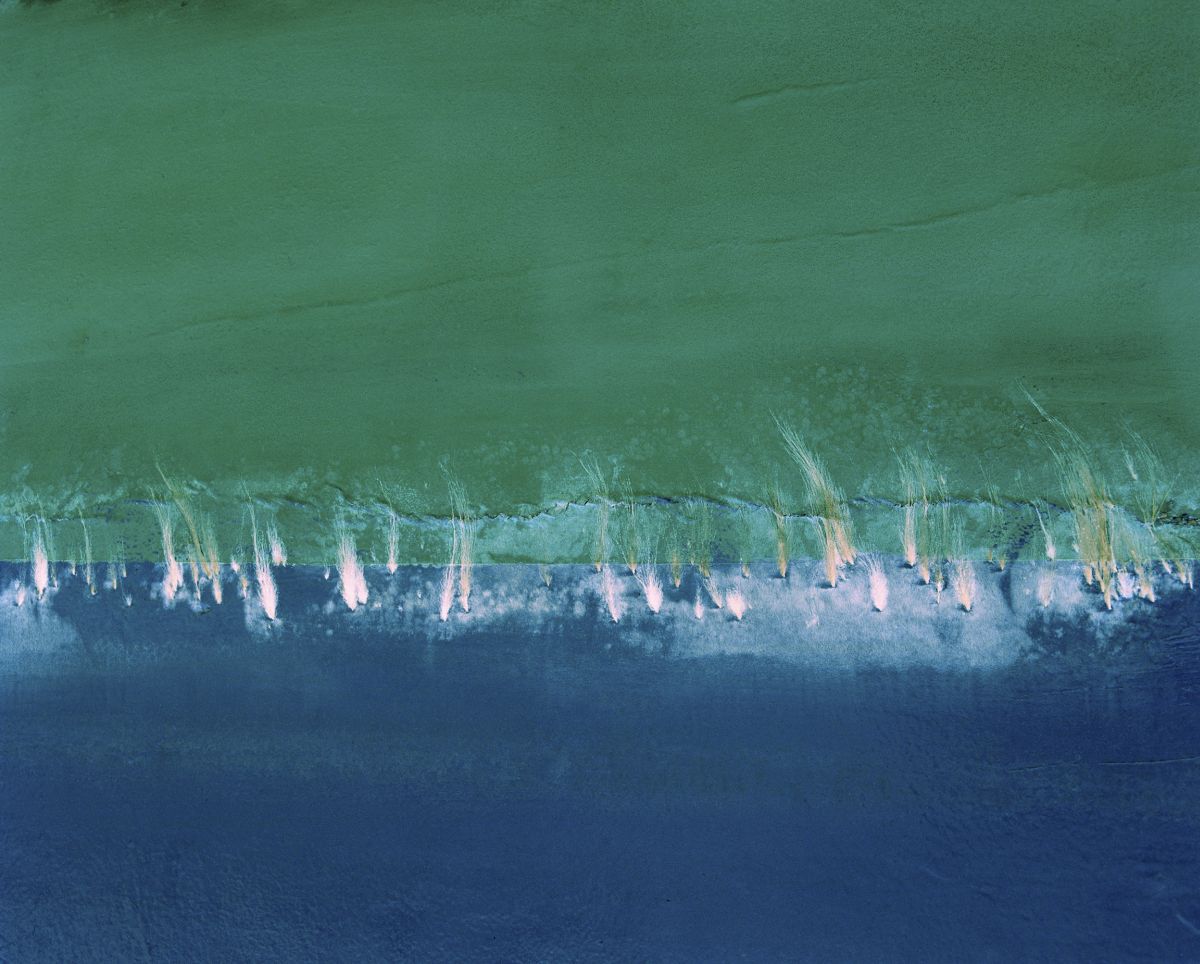 Rob Lang | The Ross Gallery