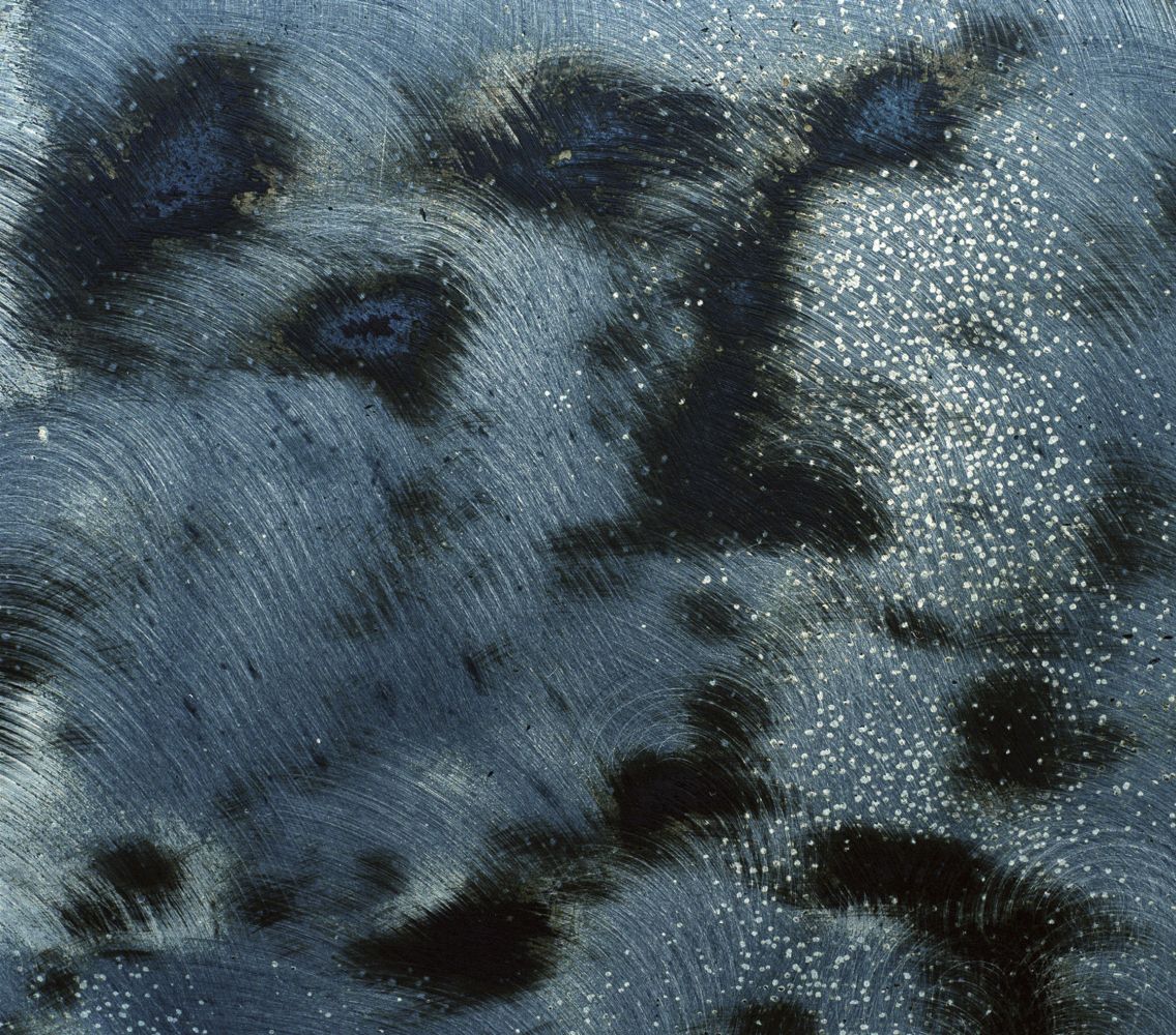 Rob Lang | The Ross Gallery